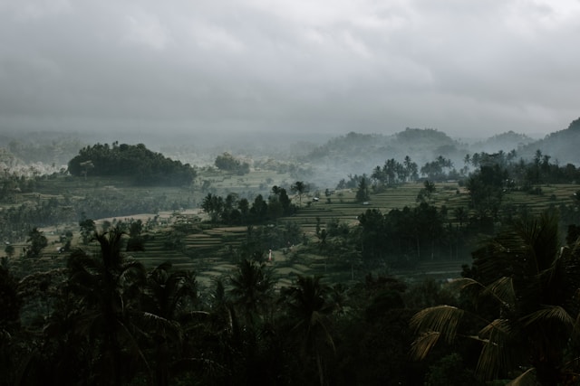 DAI Joins Green Climate Fund’s Readiness Support Services Provider ...